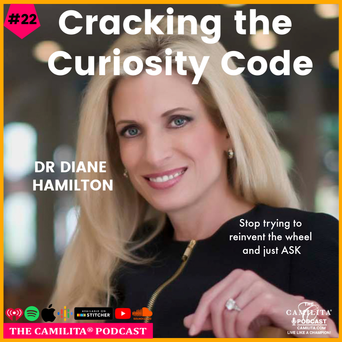 22: Dr. Diane Hamilton | Cracking the Curiosity Code - Camilita Nuttall